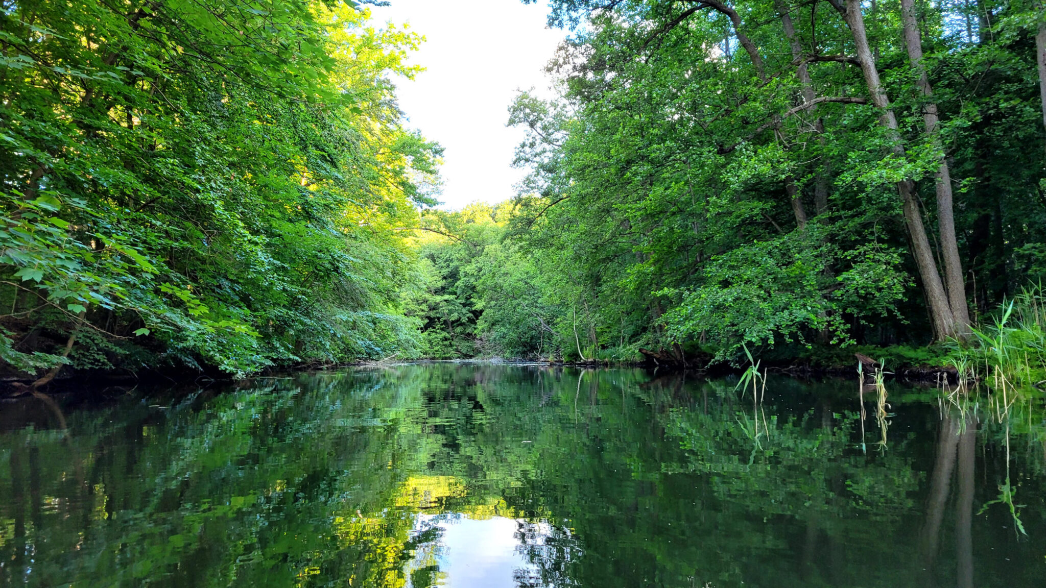 Kajaktour auf der jungen Havel (Kratzeburg - Wesenberg) - Down The ...